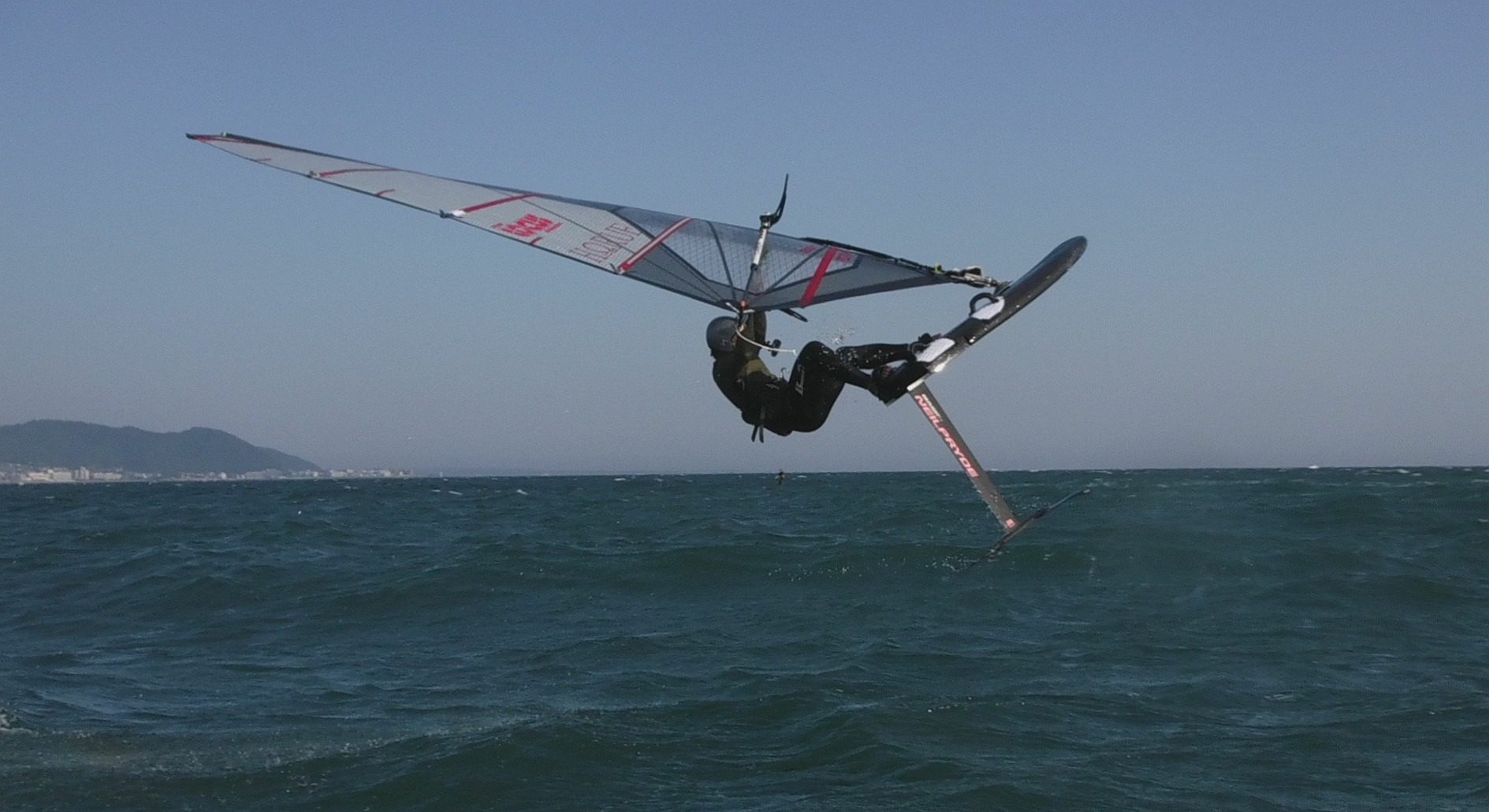 翼でハイジャンプするのが大好きです(^^)